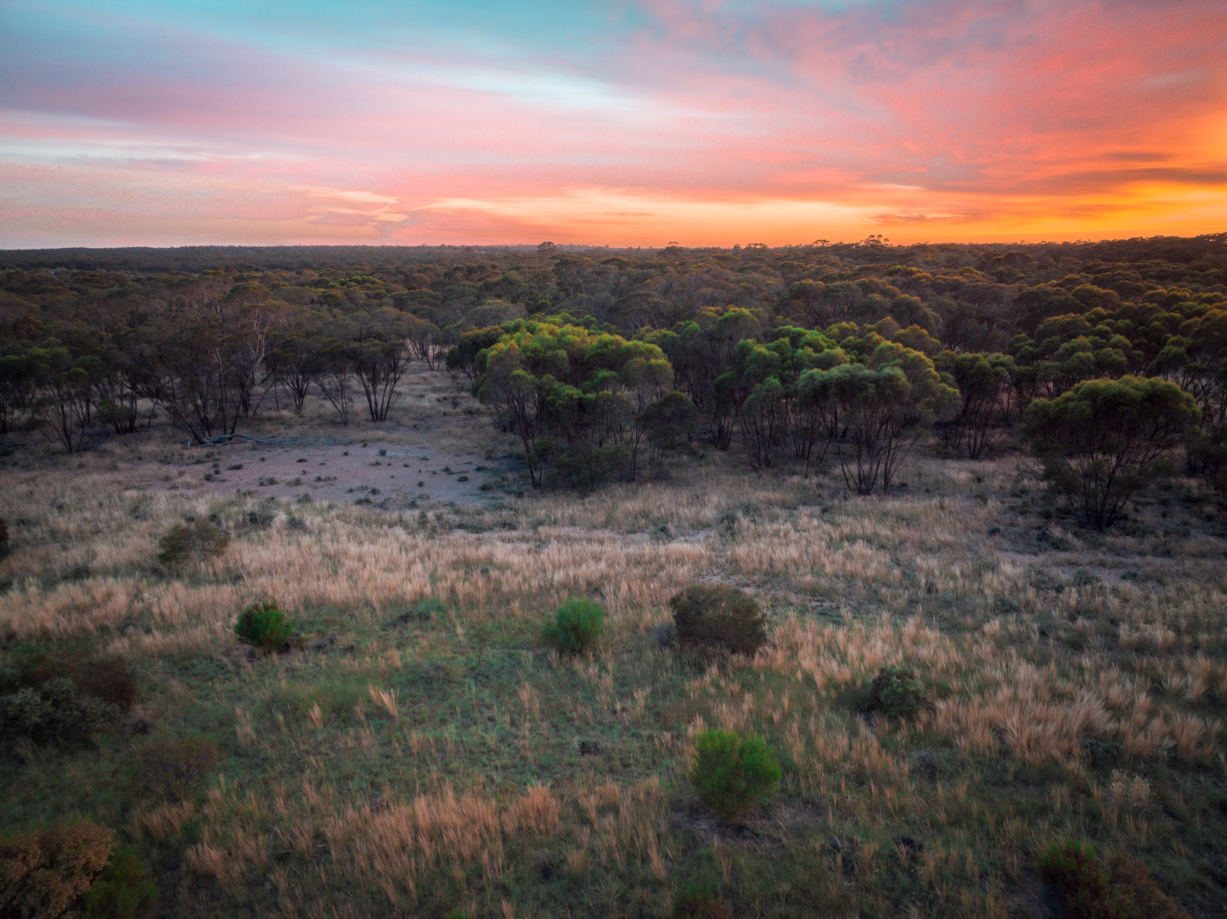 al.ive body X Wilderlands - al.ive body