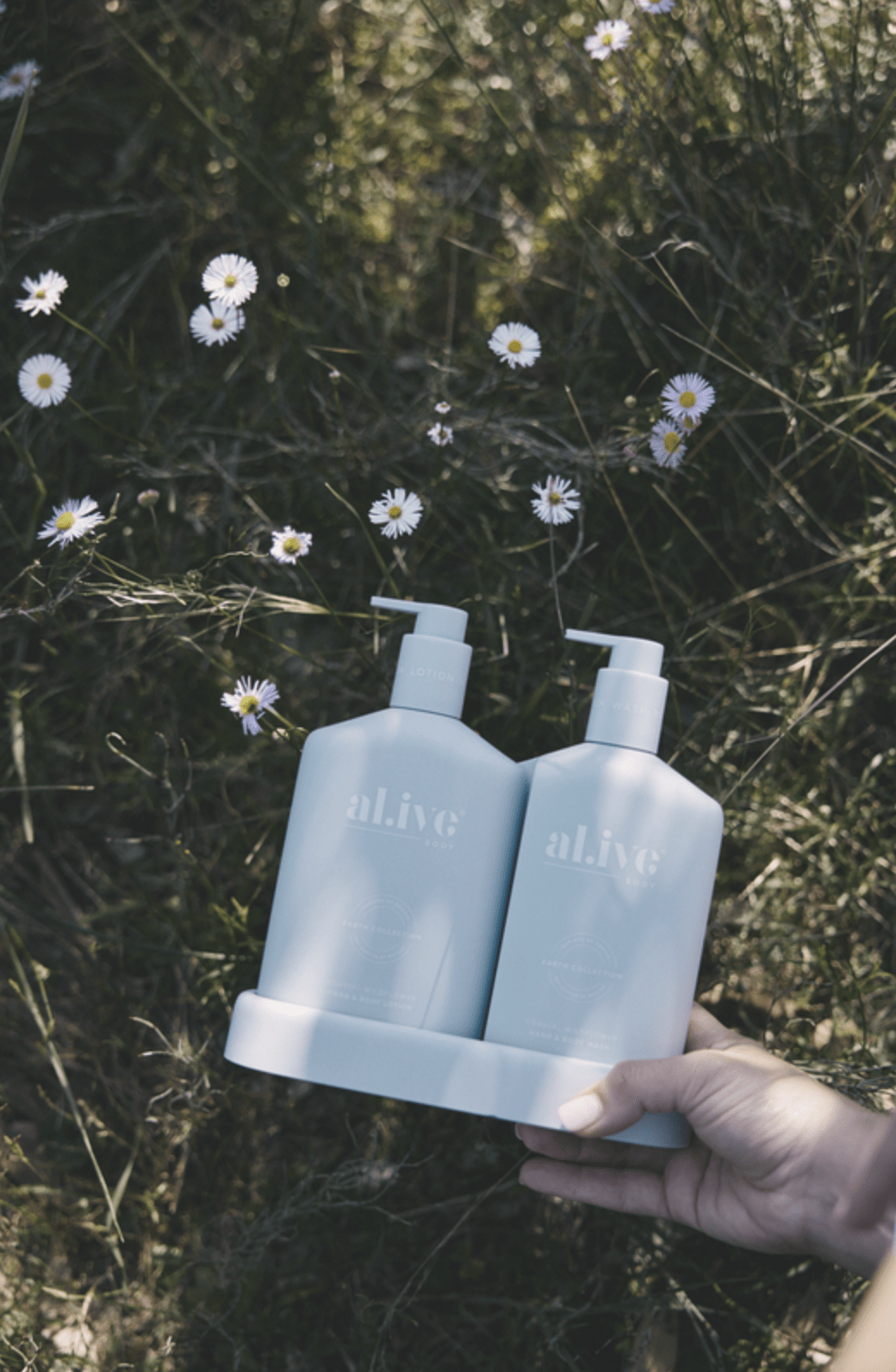 Wilderlands: Impact so far – al.ive body